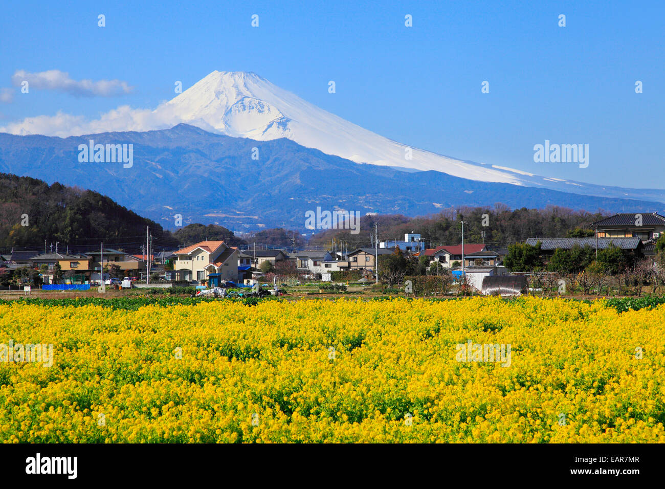 Shizuoka Prefecture, Japan Stock Photo - Alamy
