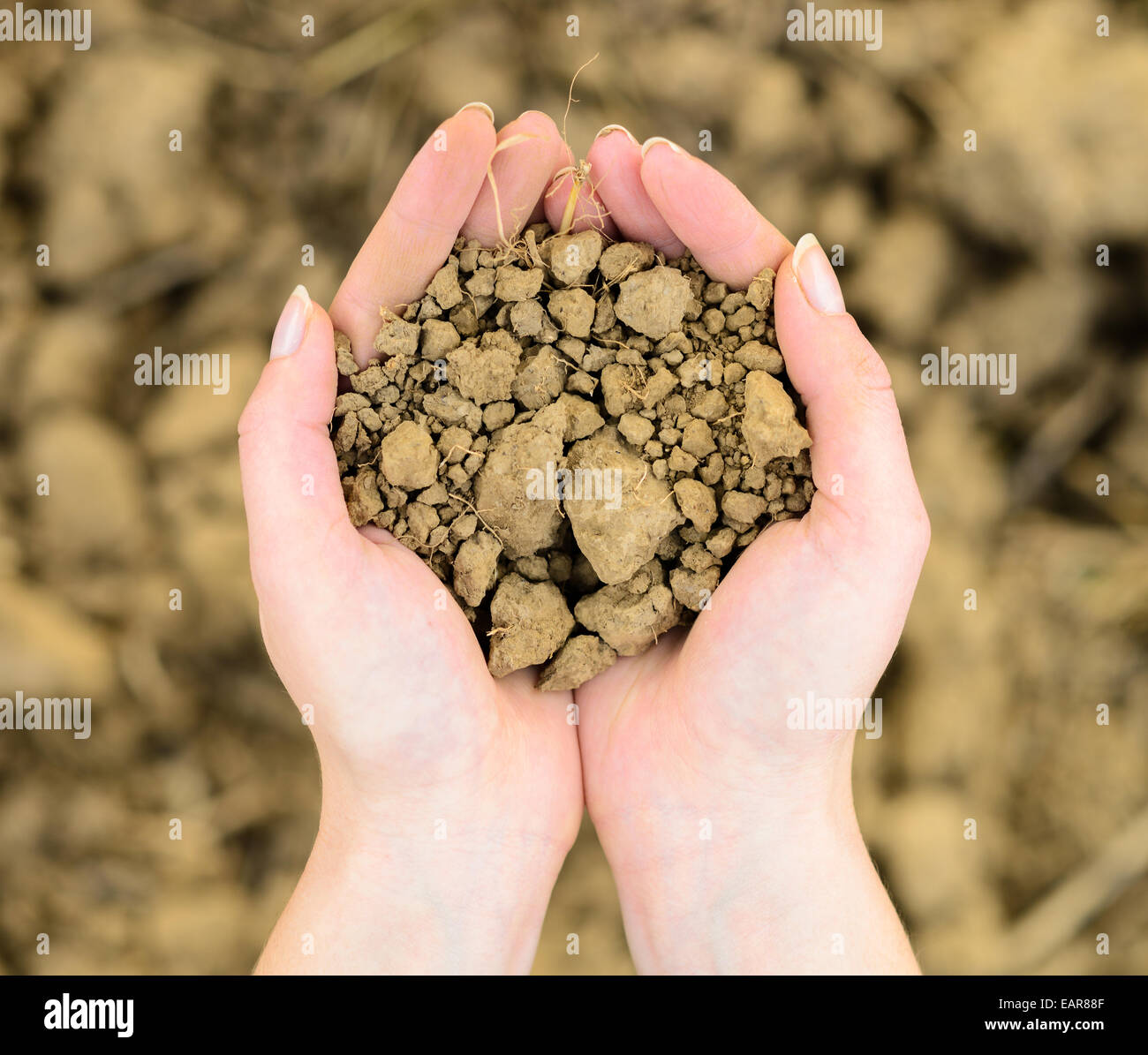Soil in hands - Environment or agriculture concept Stock Photo - Alamy