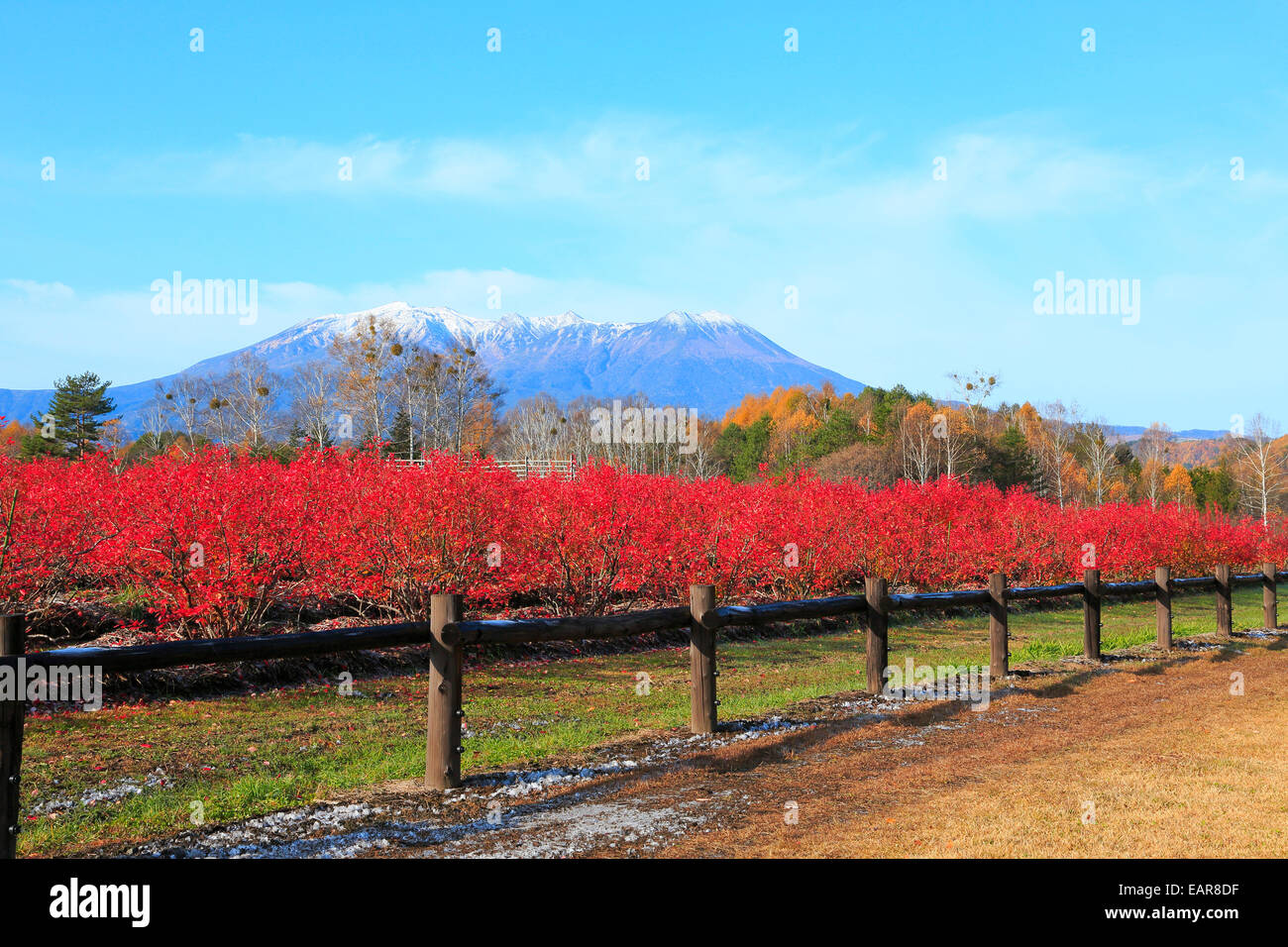Nagano Prefecture, Japan Stock Photo - Alamy