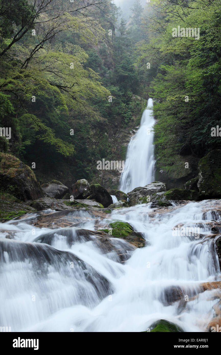 Sasa waterfall hi-res stock photography and images - Alamy