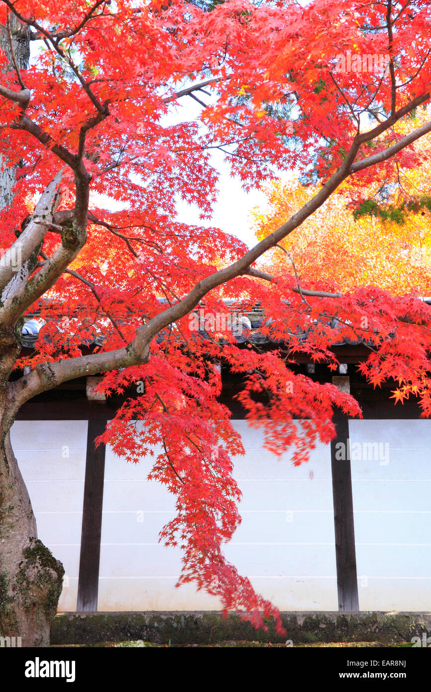 Kyoto Prefecture, Japan Stock Photo - Alamy