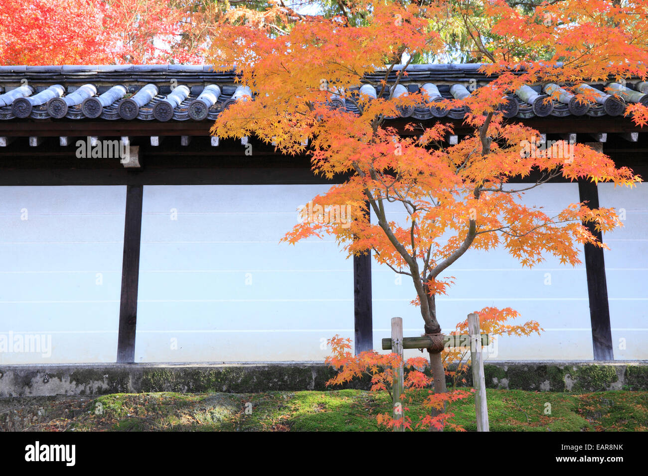 Kyoto Prefecture, Japan Stock Photo - Alamy