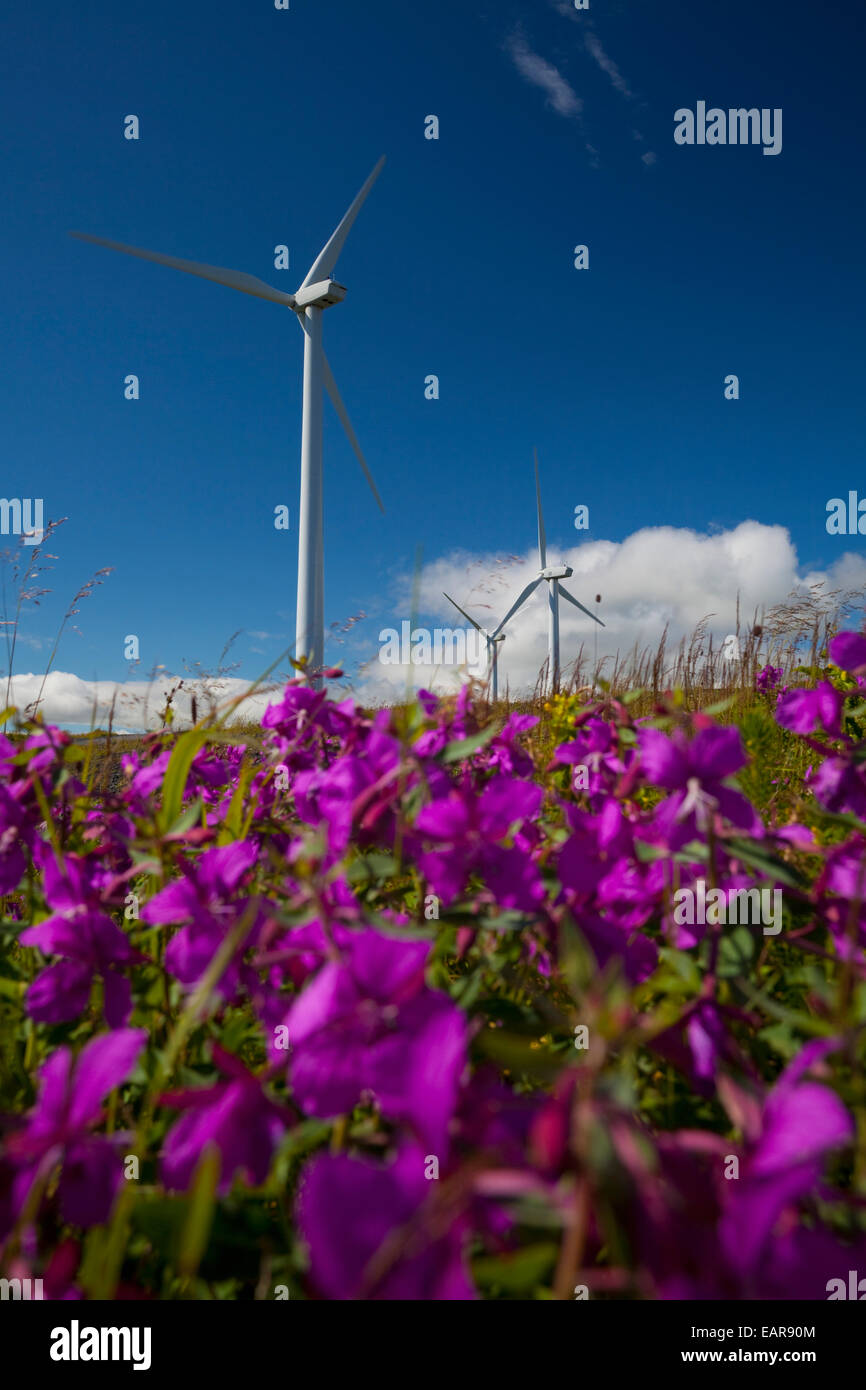 Alternative pics hi-res stock photography and images - Alamy