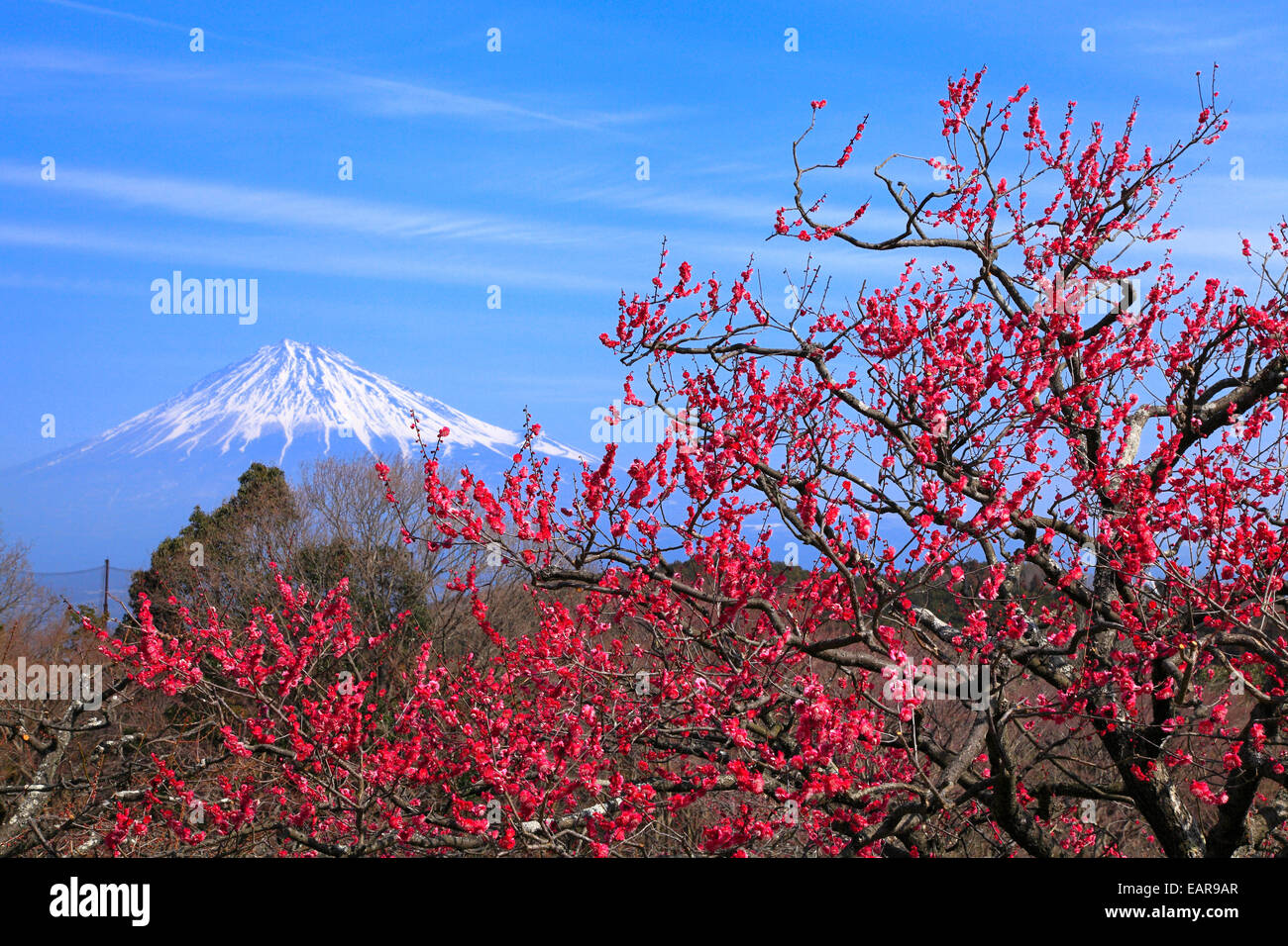Shizuoka Prefecture, Japan Stock Photo - Alamy