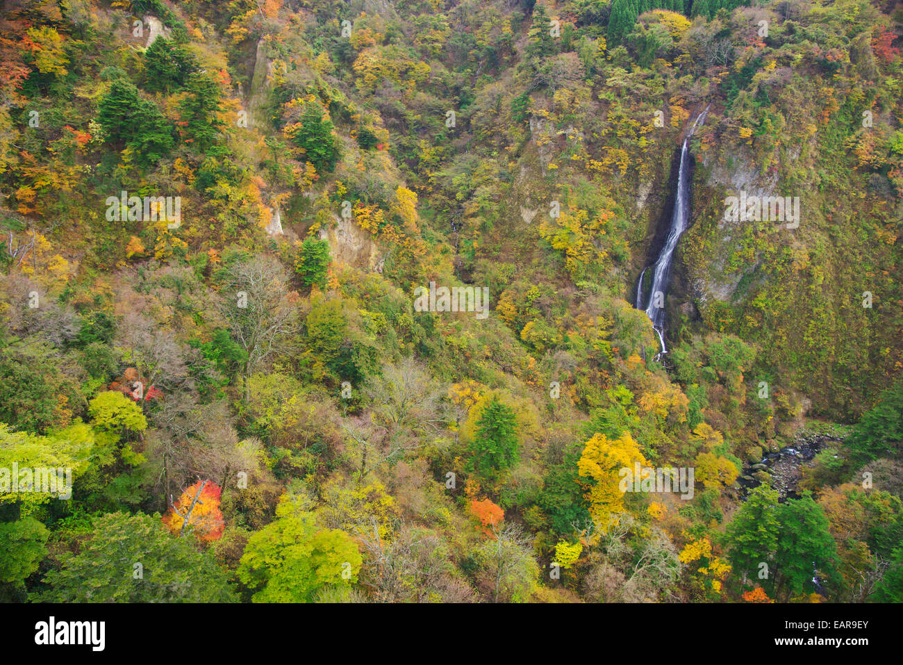 Oita Prefecture, Japan Stock Photo - Alamy