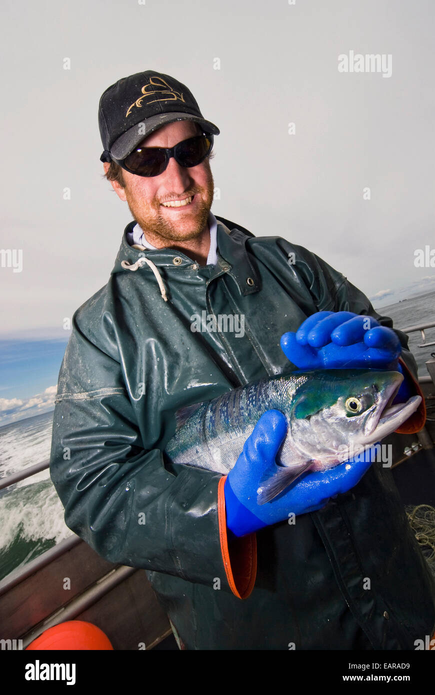 Commercial Fisherman Holds The Catch Of The Day, Bristol Bay, Alaska/N ...