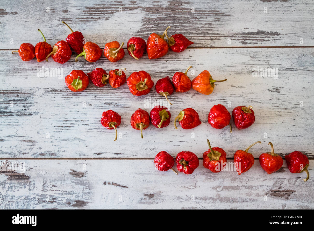Red hot cherry peppers lined over white wooden background Stock Photo ...