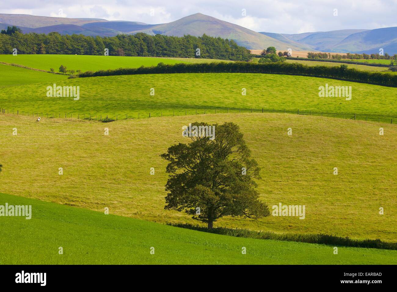 Dufton hi-res stock photography and images - Alamy