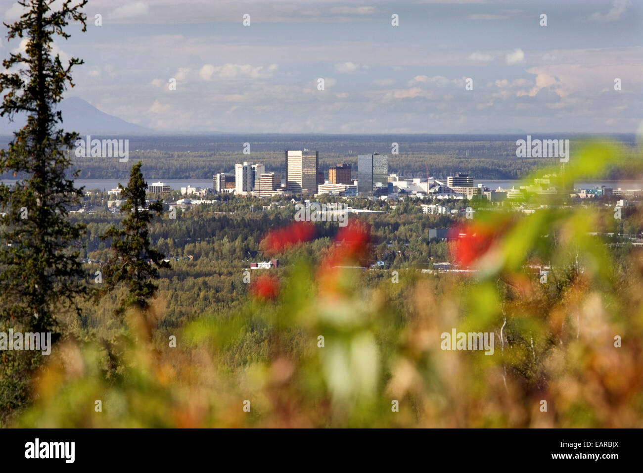 View chugach mountains anchorage hillside hi-res stock photography and ...