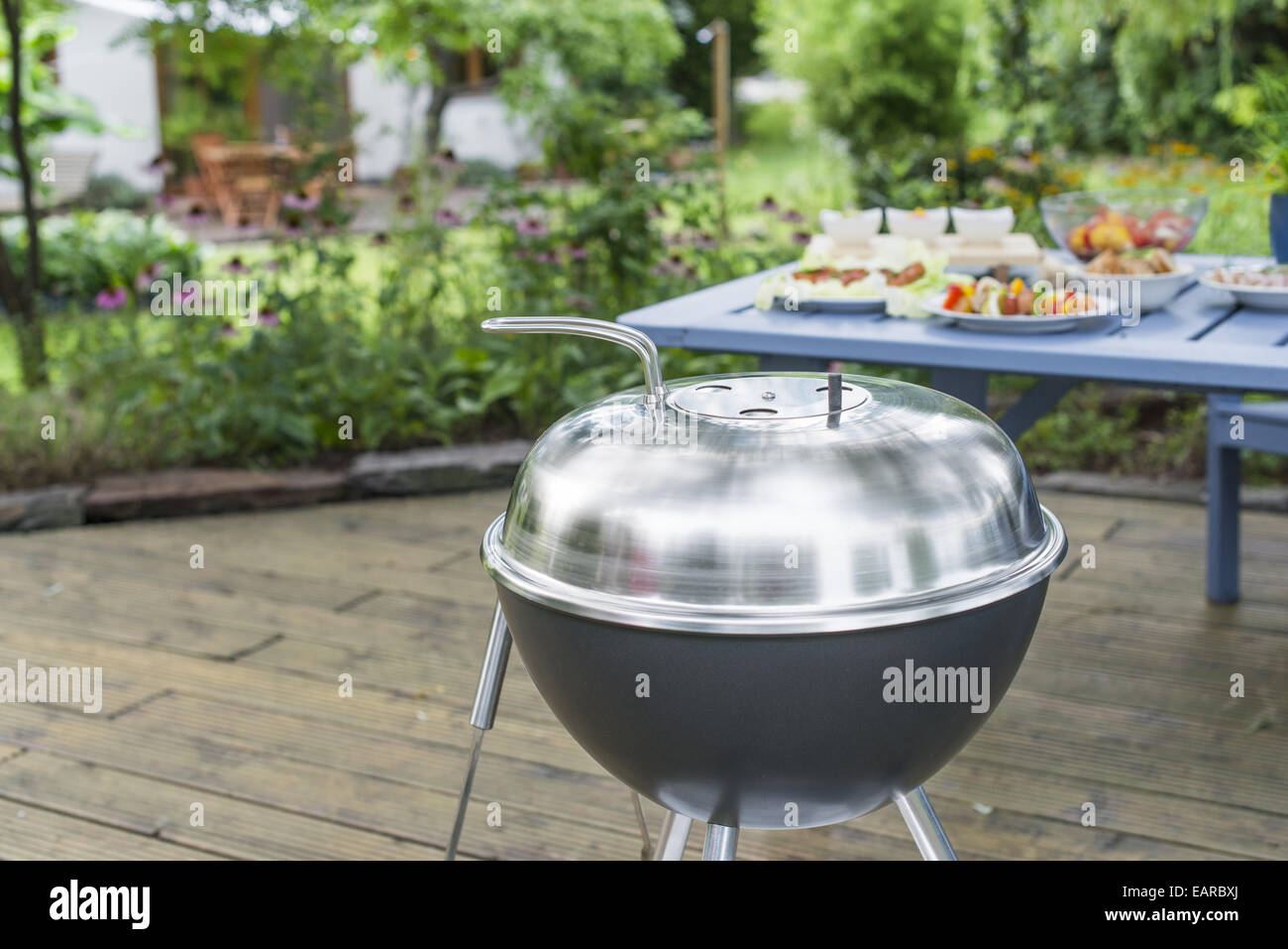 Garden grill party, Austria, Lower Austria, Southern Lower Austria ...