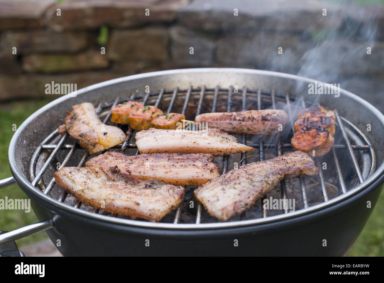 Garden grill party, Austria, Lower Austria, Southern Lower Austria ...