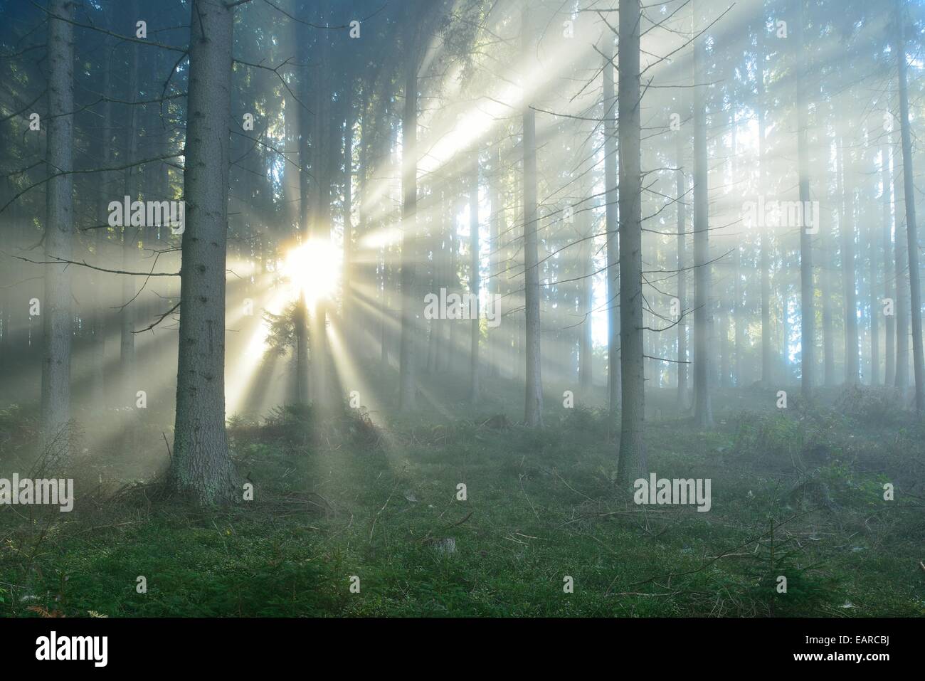 Sunshine breaking through the mist hi-res stock photography and images ...