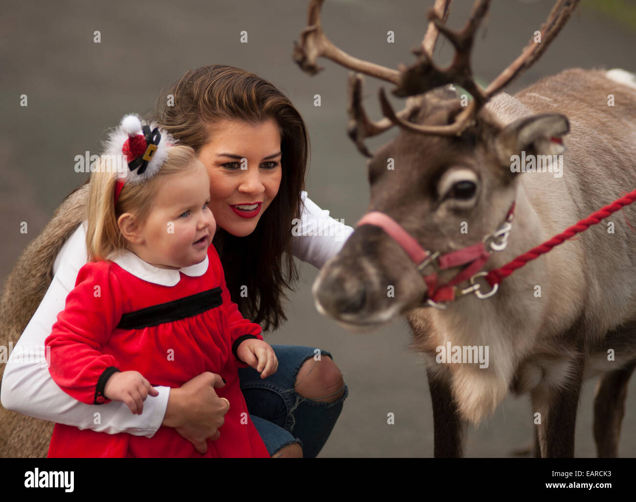 ZSL, London Zoo, Regent’s Park, UK. 20th November, 2014. Model Imogen ...