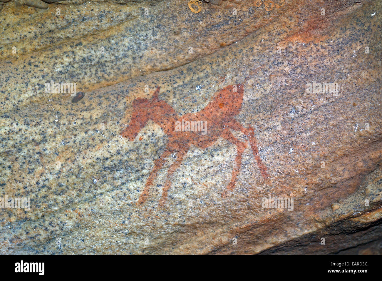 Ancient rock art, drawings of the San people, indigenous people of ...