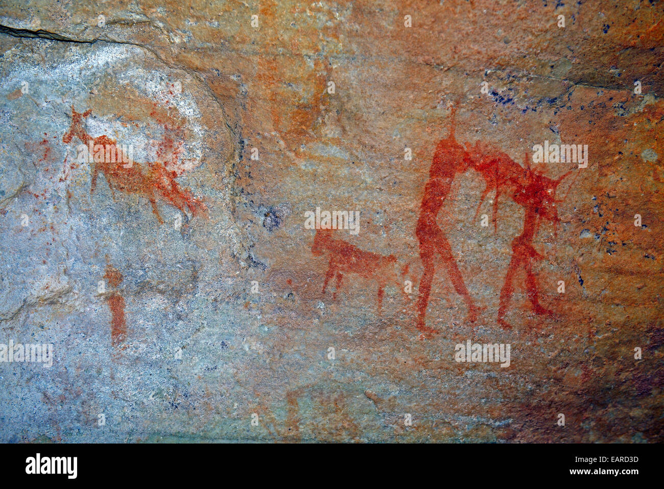 Ancient rock art, drawings of the San people, indigenous people of ...