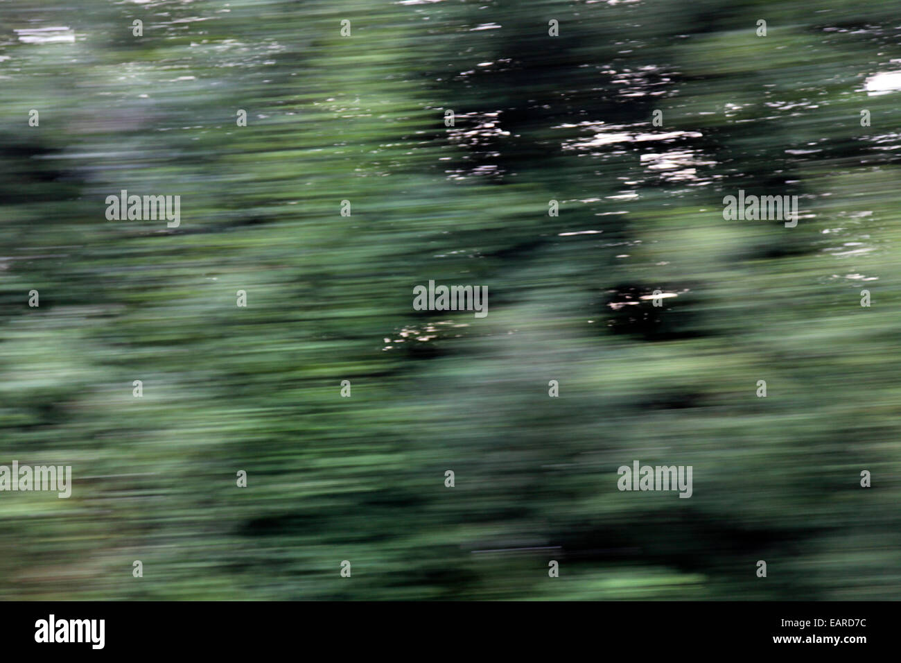 Trees rushing past in a blur, seen from a speeding car window Stock ...