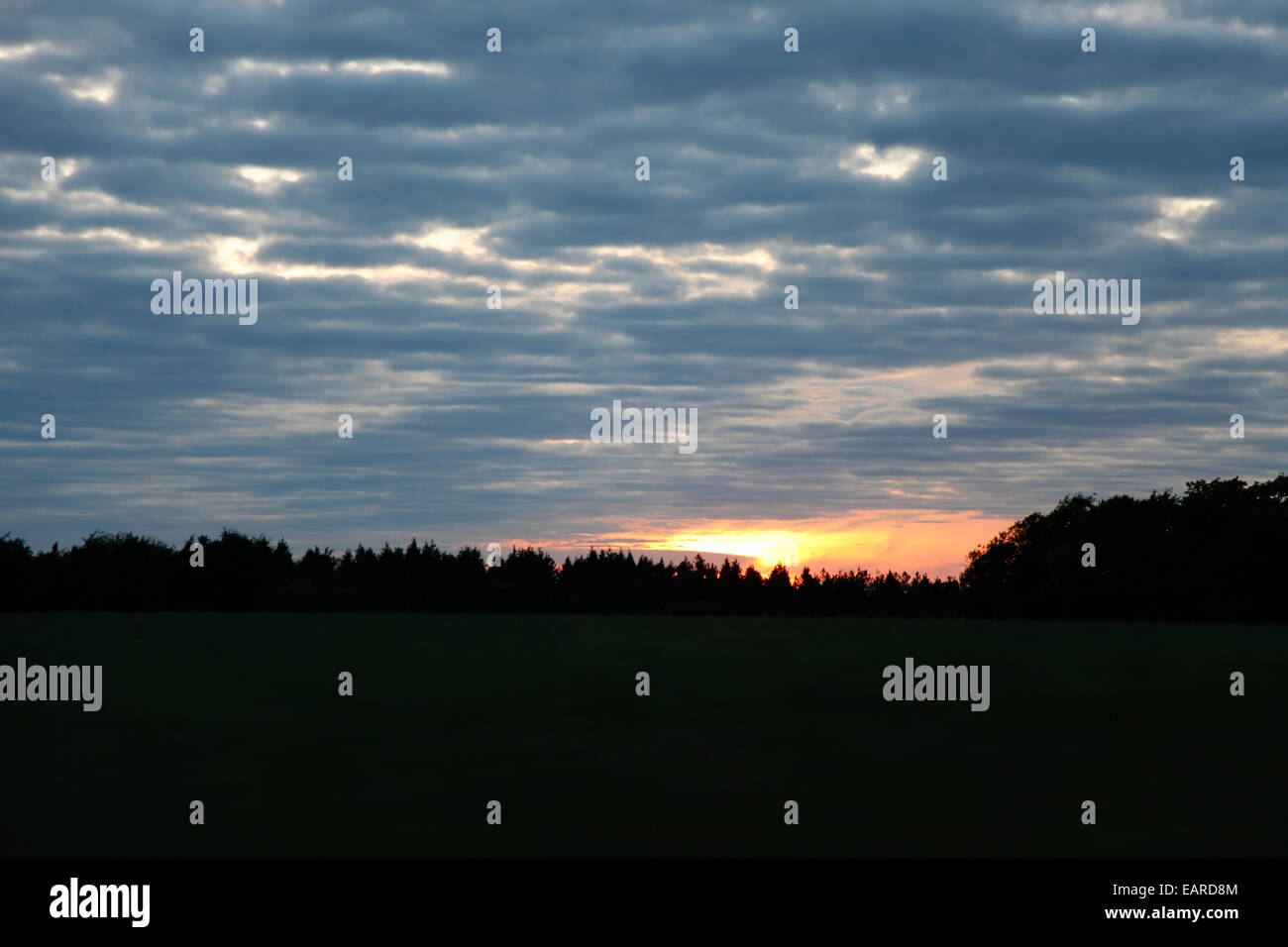 Sun setting behind trees Stock Photo - Alamy