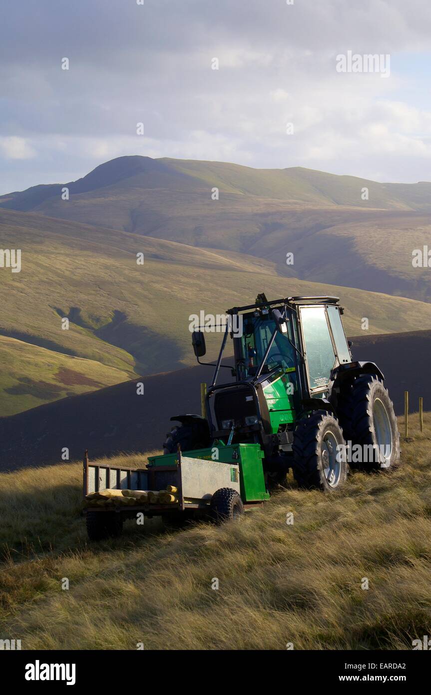 Tractor carrying fence posts involved in upland fencing work. Mitton ...
