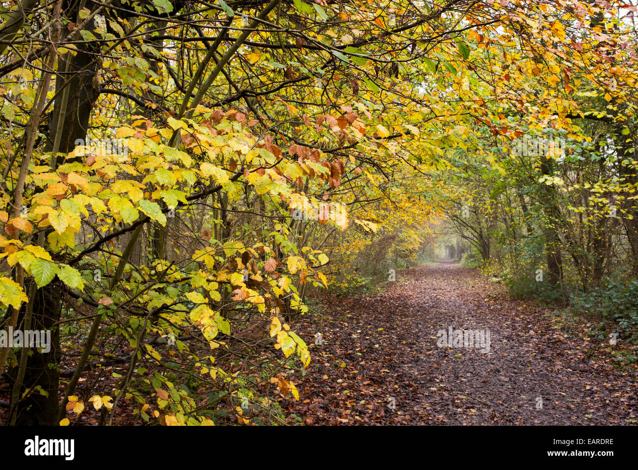 Pathway through the countryside hi-res stock photography and images - Alamy