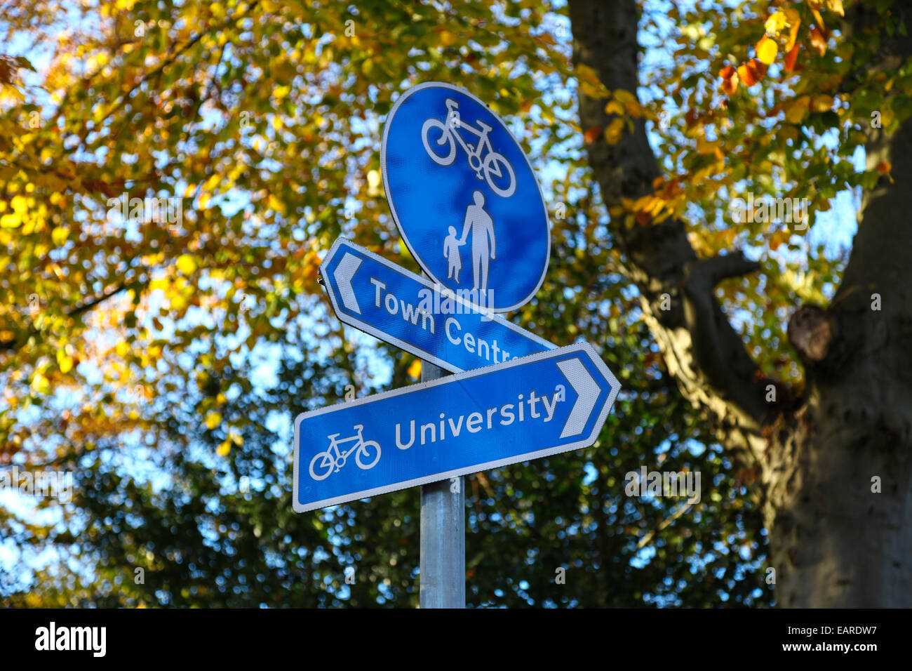 A cycle track sign saying town centre and university with symbol of ...