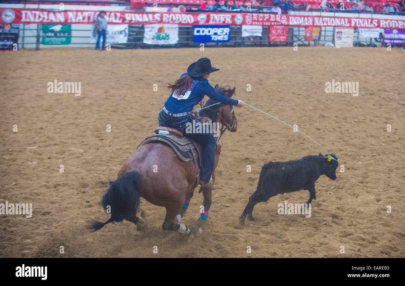 Cowgirl Participating in a Calf roping Competition at the Indian ...