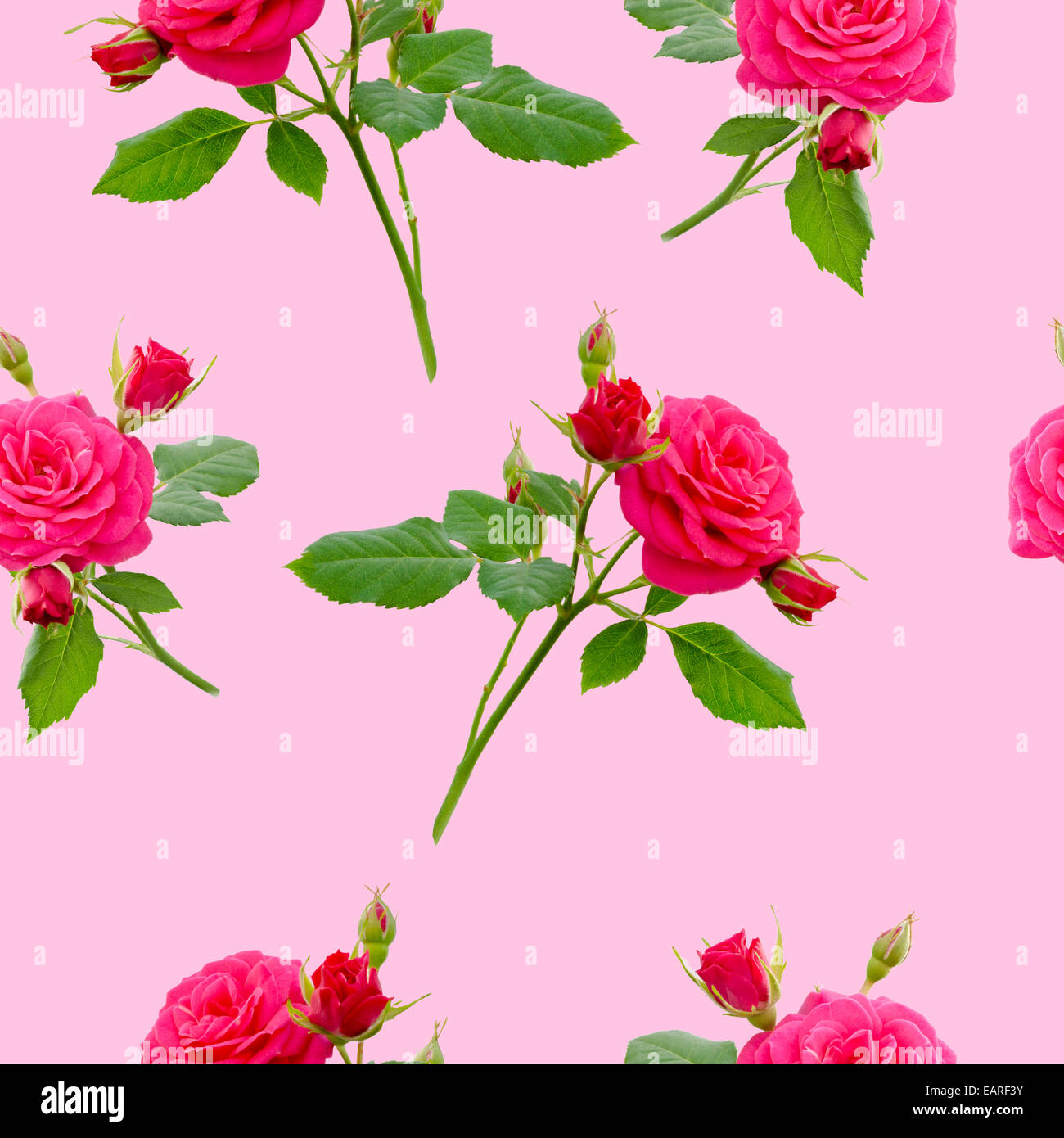 floral red rose seamless pattern on pink background Stock Photo - Alamy