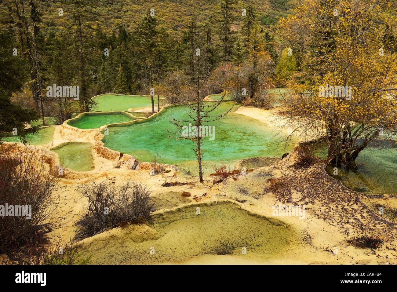 Lime terraces with lakes in autumnal environment, Huanglong National ...