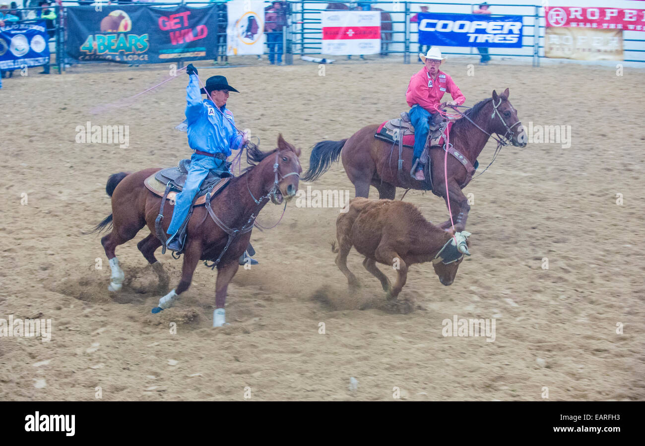 Cowboys Participating in a Calf roping Competition at the Indian ...