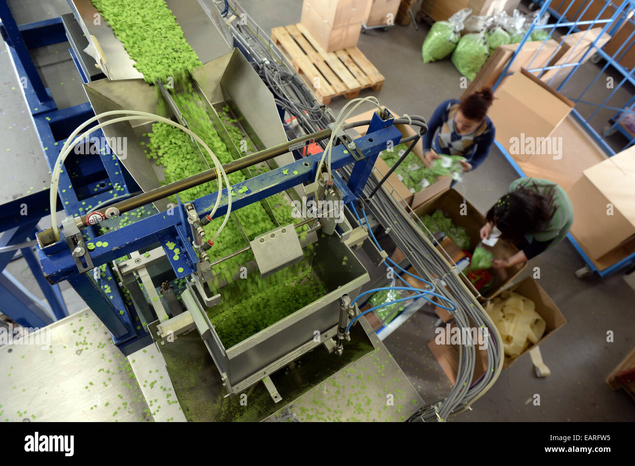 Two staff members of confetti manufacturer 'Kurt Hauser' incorporation ...