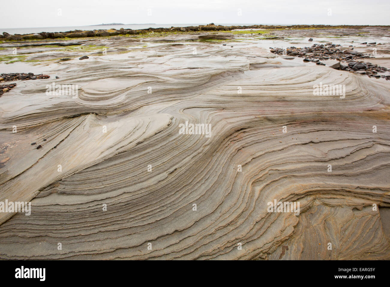 Patterns in weathered shale rocks on Bamburgh Beach, Northumberland, UK ...