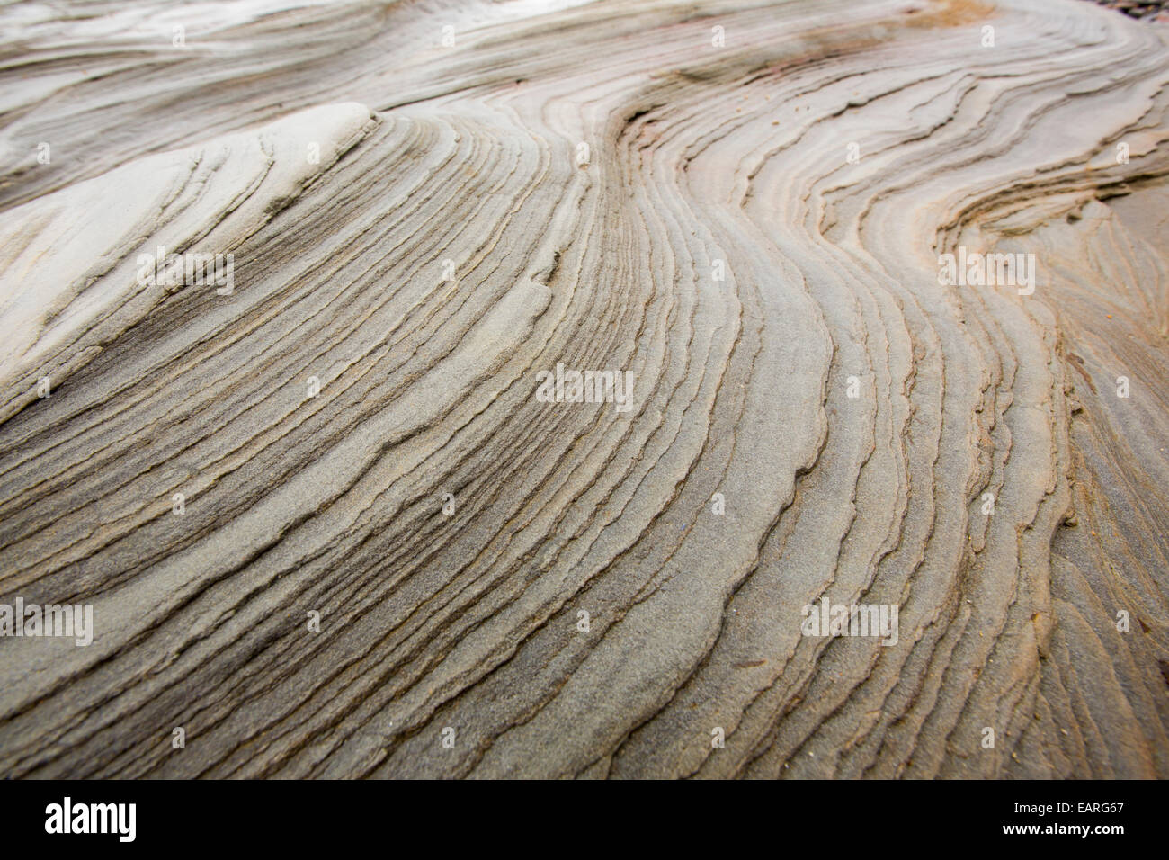 Patterns in weathered shale rocks on Bamburgh Beach, Northumberland, UK ...
