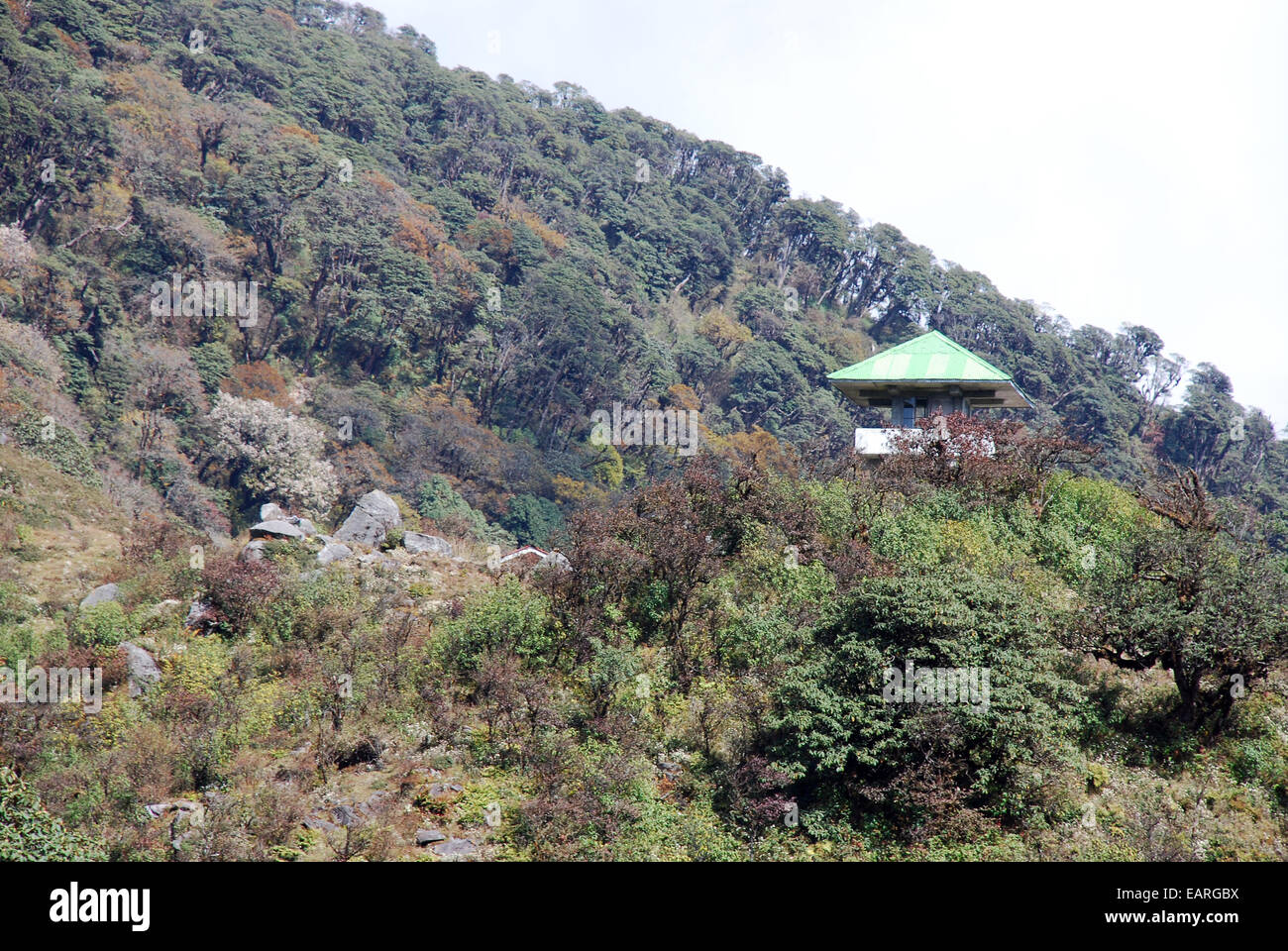 Sikkim forest hi-res stock photography and images - Alamy