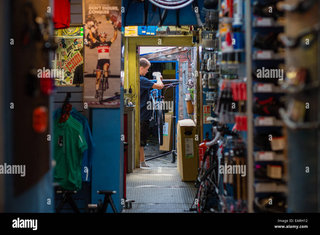 A worker adjusting repairing mending a bike at Summit Cycles, small ...