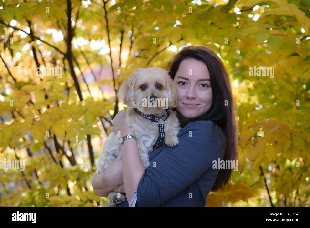 Woman with small dog Stock Photo - Alamy