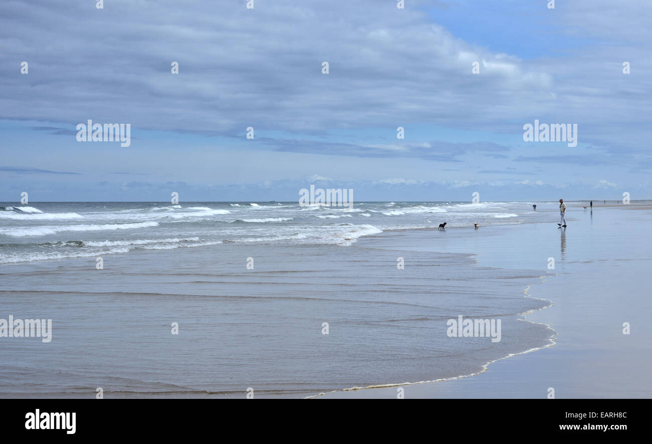 Bamburgh beach hi-res stock photography and images - Alamy