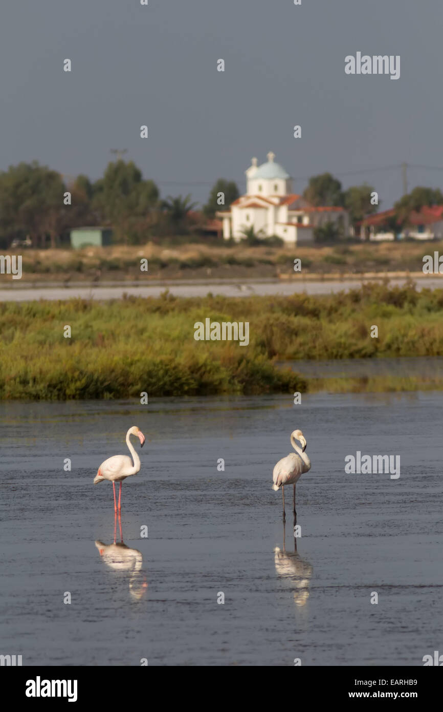 Mesologgi lagoon hi-res stock photography and images - Alamy