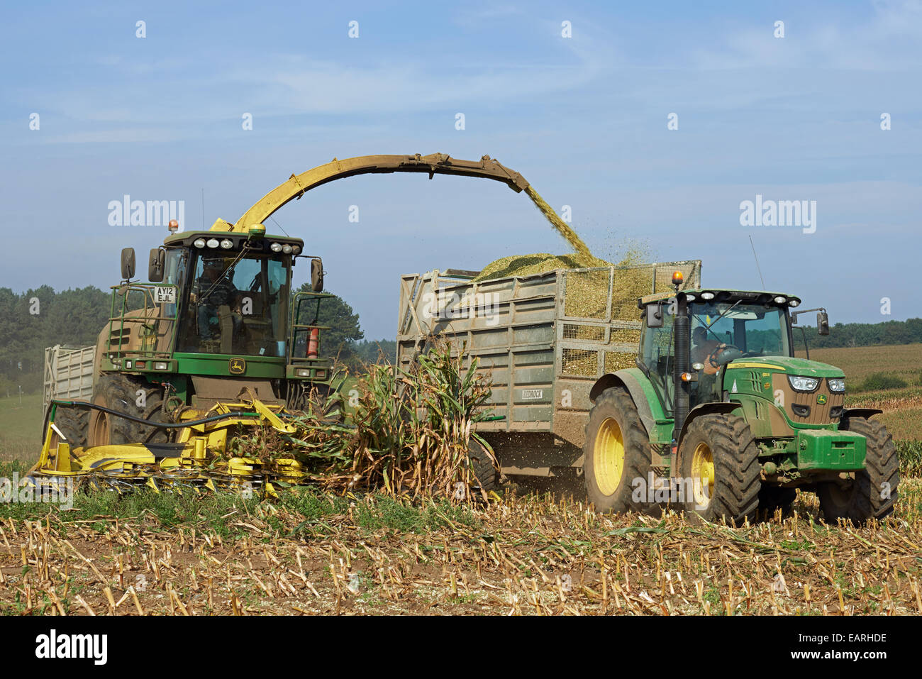 Maize being harvested for biogas Stock Photo - Alamy