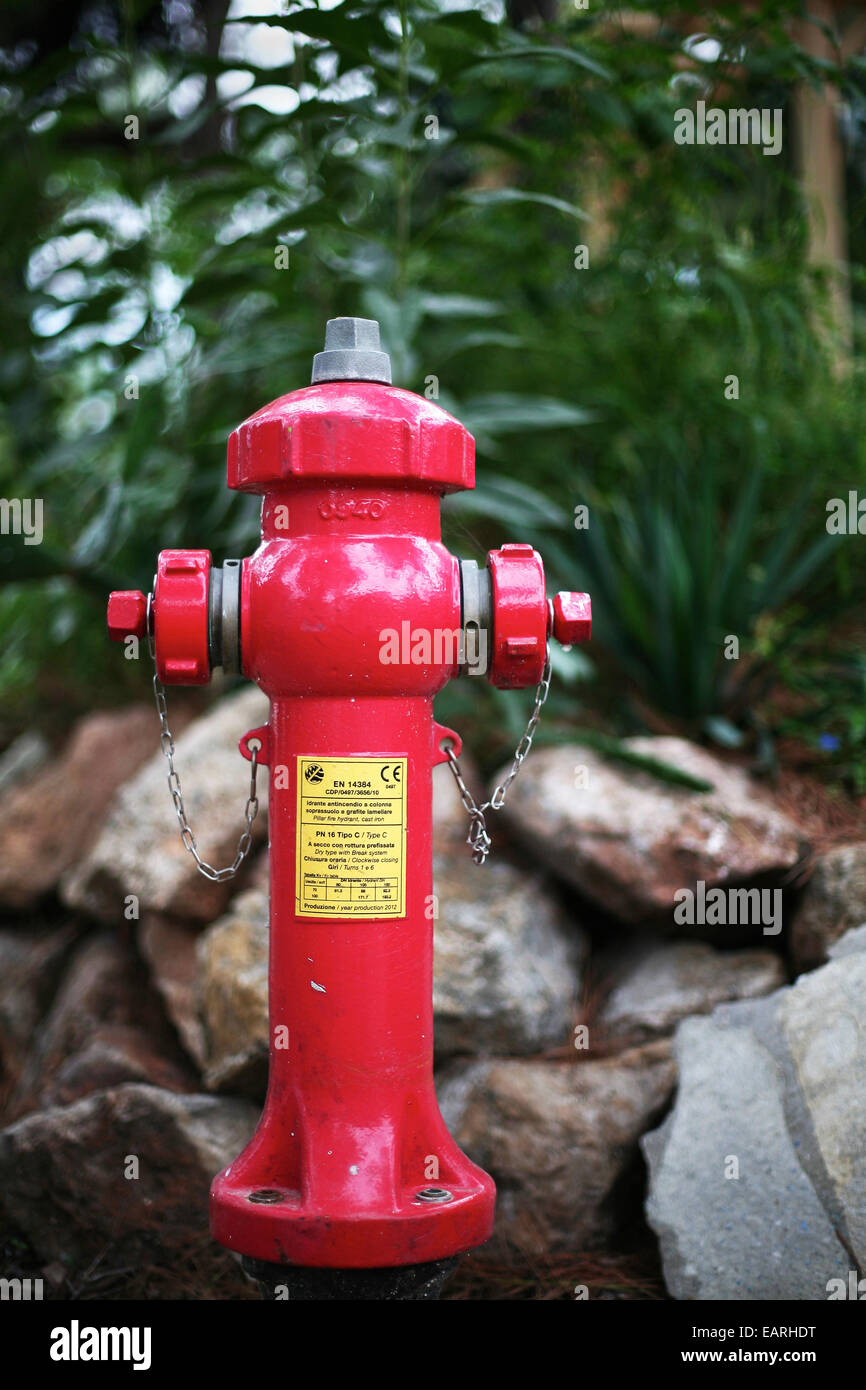 red fire hydrant on the background of forest Stock Photo - Alamy