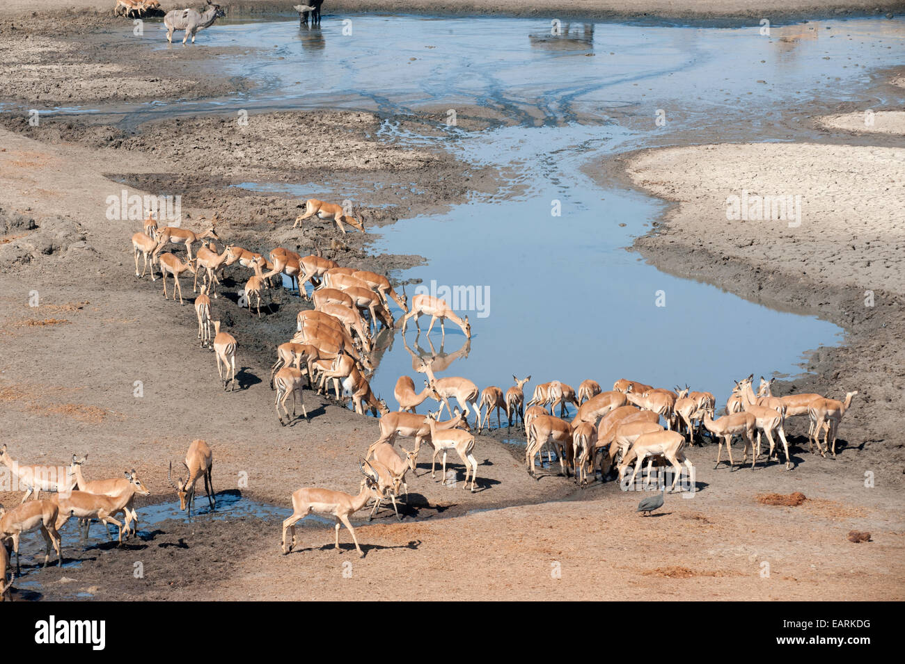 Botswana sights hi-res stock photography and images - Alamy