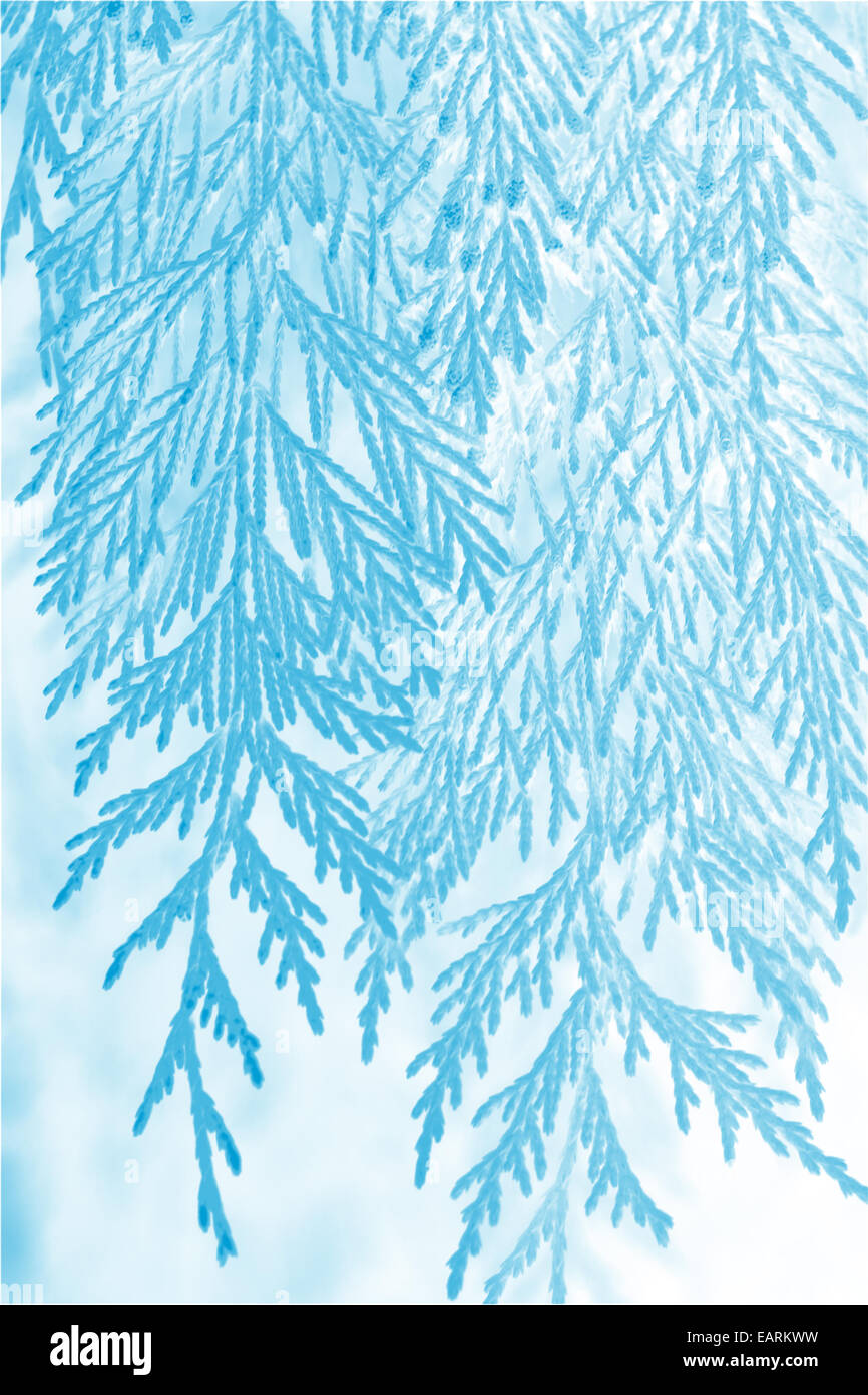 Background frosty tree Stock Photo - Alamy