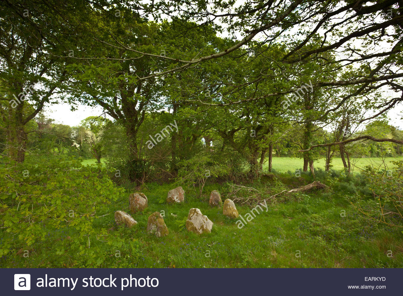 An ancient Stone Circle near Killarney, County Kerry, Ireland Stock ...