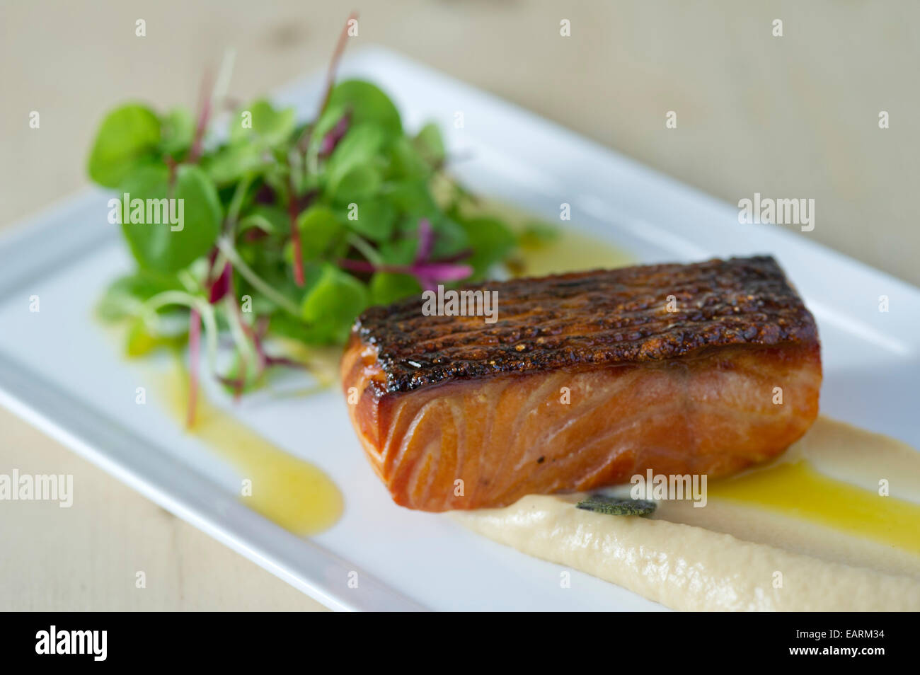 The checkers montgomery hi-res stock photography and images - Alamy