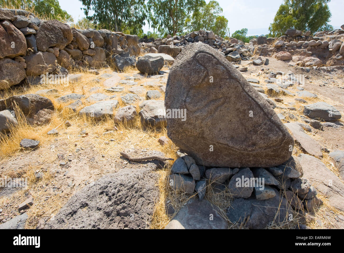 Image carved in a stone in the biblical village Bethsaida which is ...