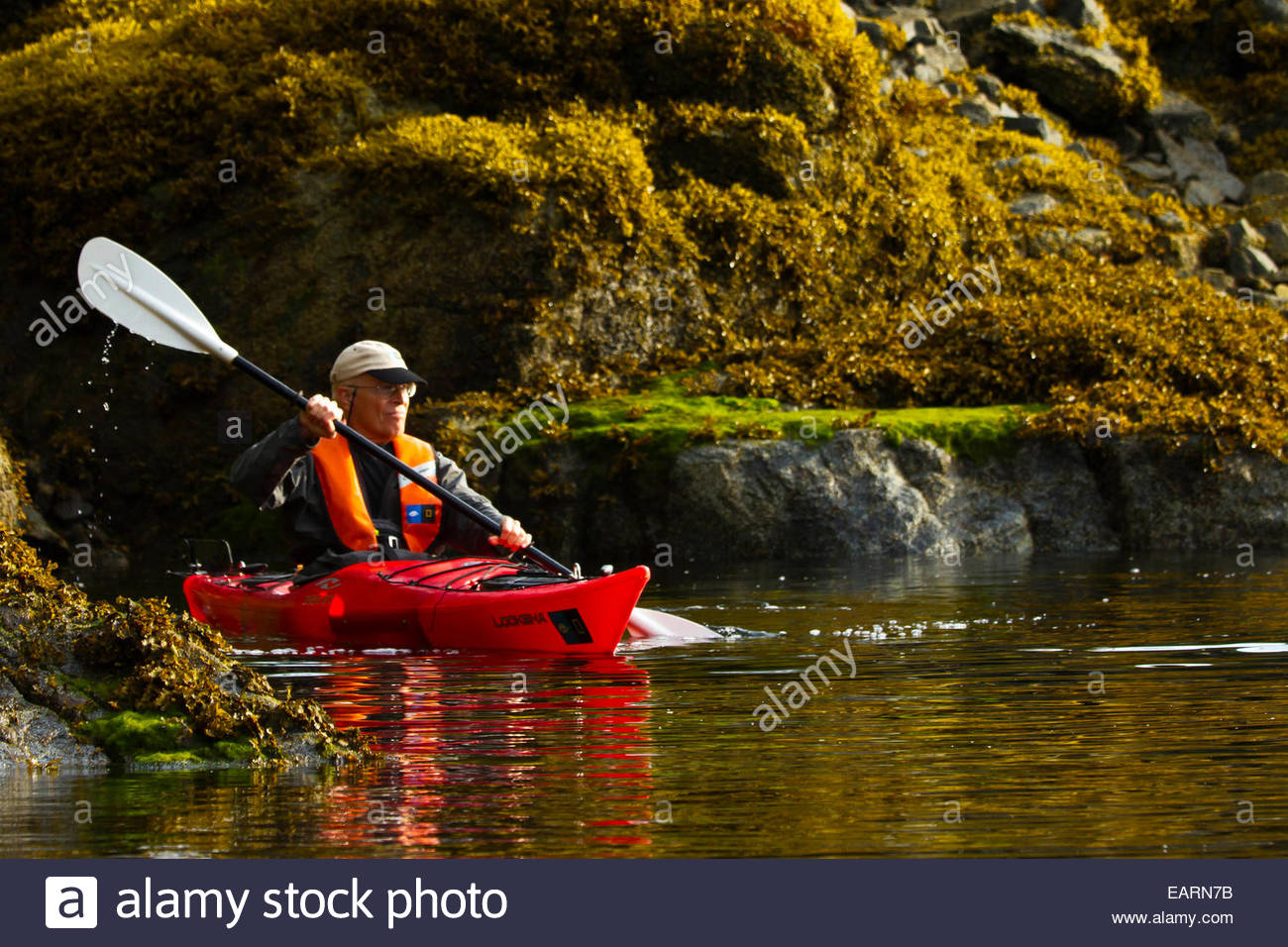 A man kayaking in the Inside Passage Stock Photo - Alamy