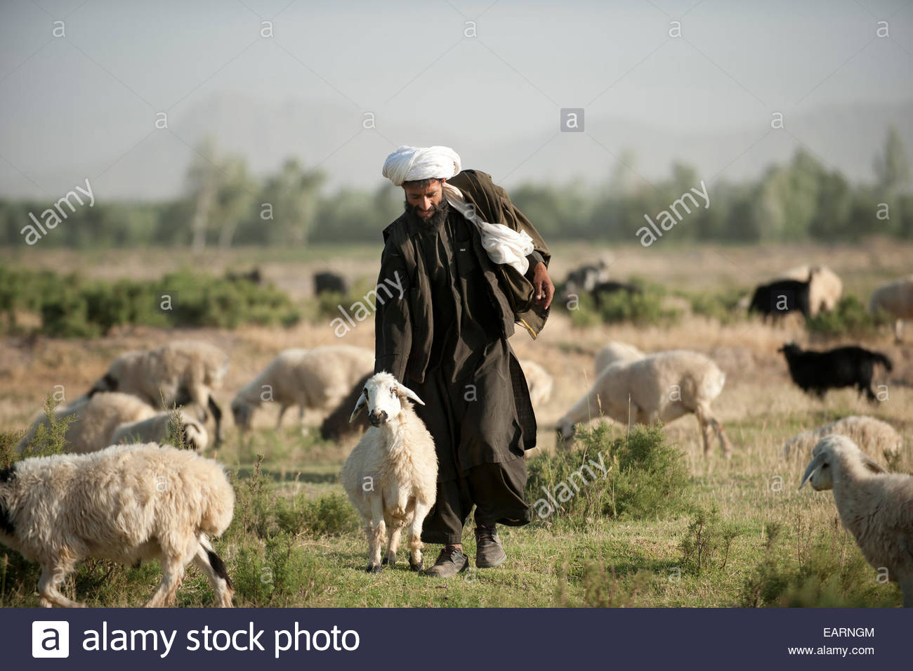 Pashtun People Stock Photos & Pashtun People Stock Images - Alamy