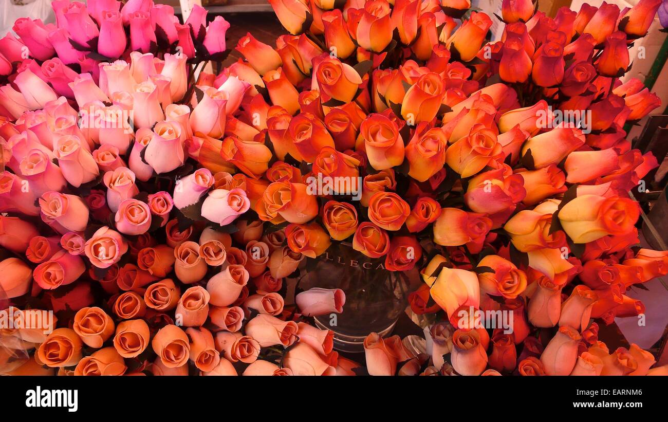 A display of red roses entices buyers at the open market Stock Photo ...