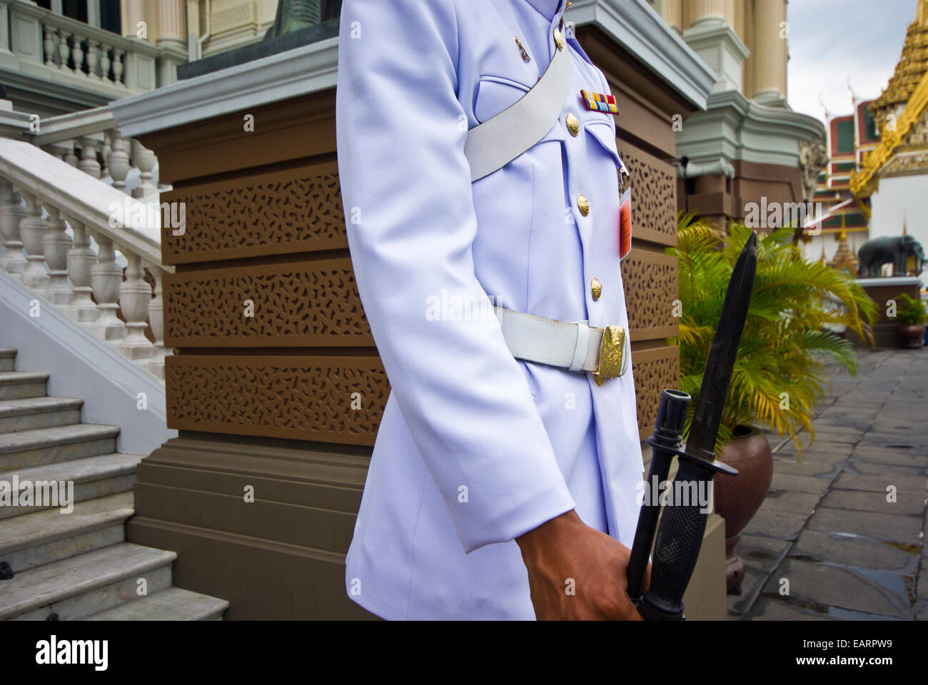 Soldier of the Kings Guard with rifle and bayonet at the Throne Hall ...