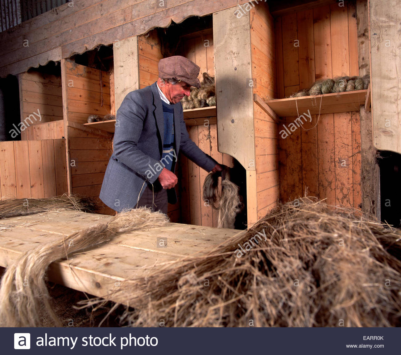Scutching Stock Photos & Scutching Stock Images - Alamy
