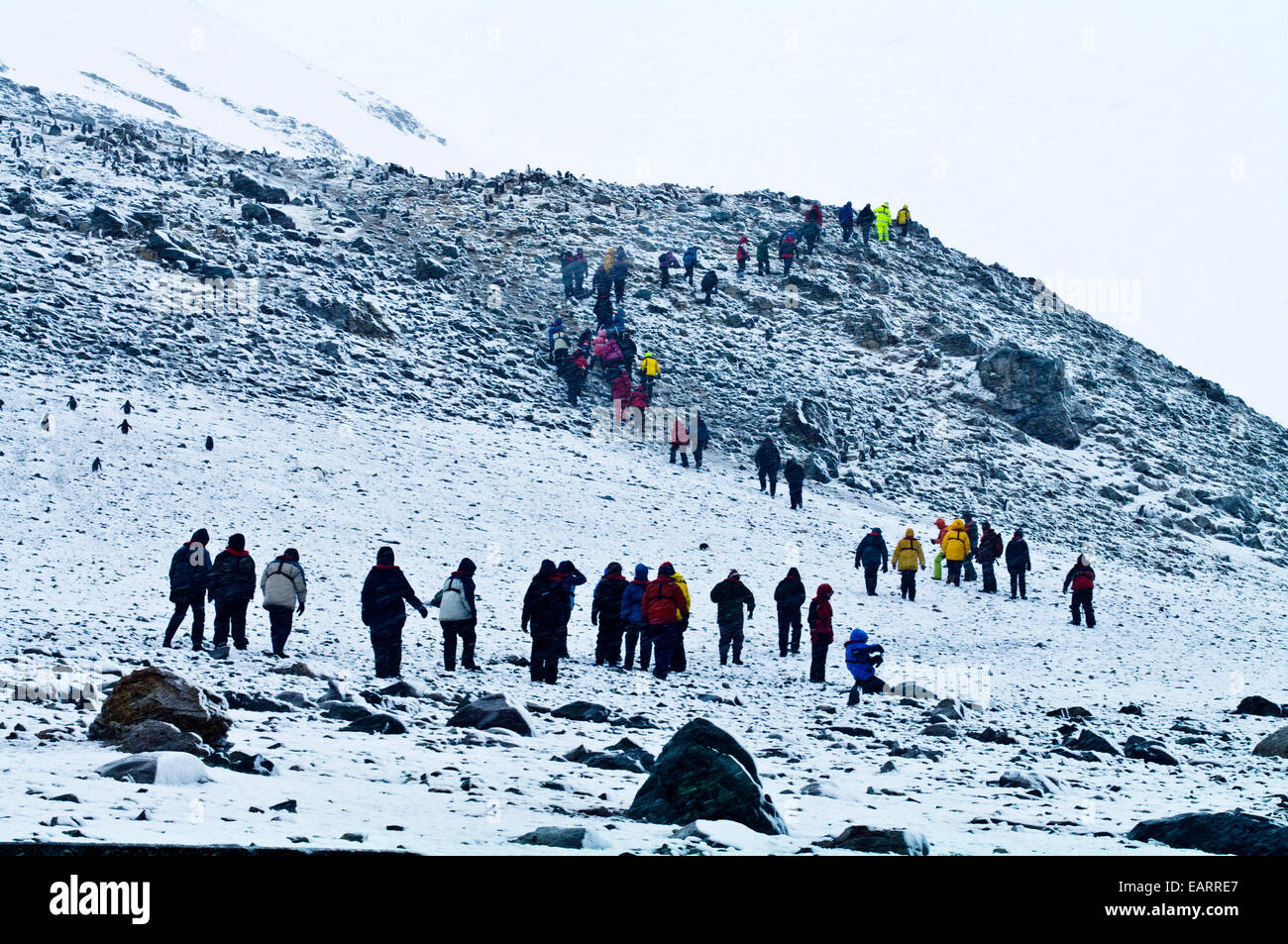 Tourists hike to the summit of a rugged icy mountain in single file ...