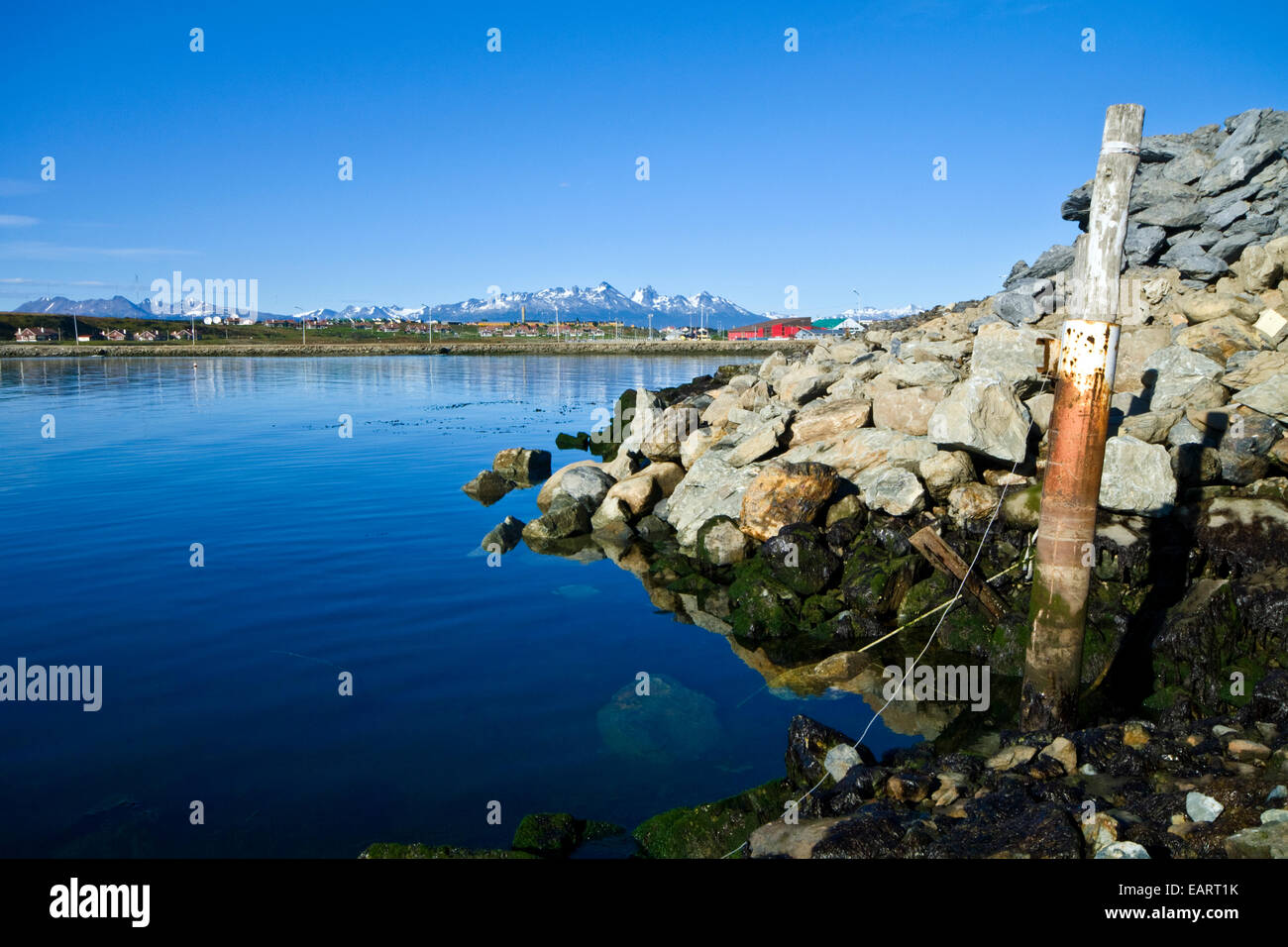 Algae on the harbour wall hi-res stock photography and images - Alamy
